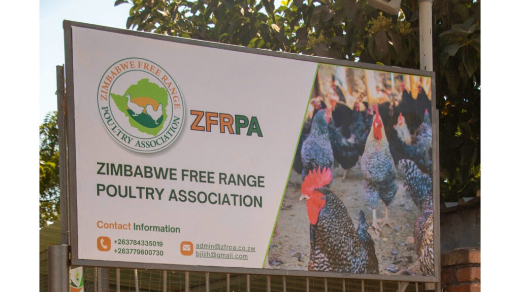 Mashonaland provinces dominate 2025 wheat harvest - Bulls n Bears