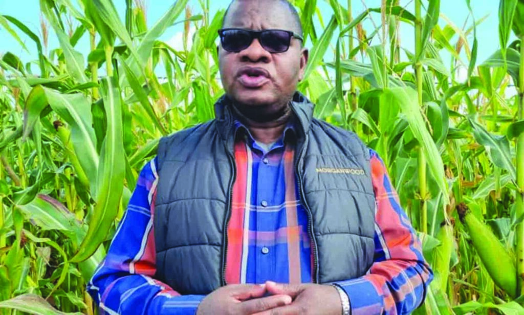 Government pushes innovation to cut pig feed costs and boost industry ...