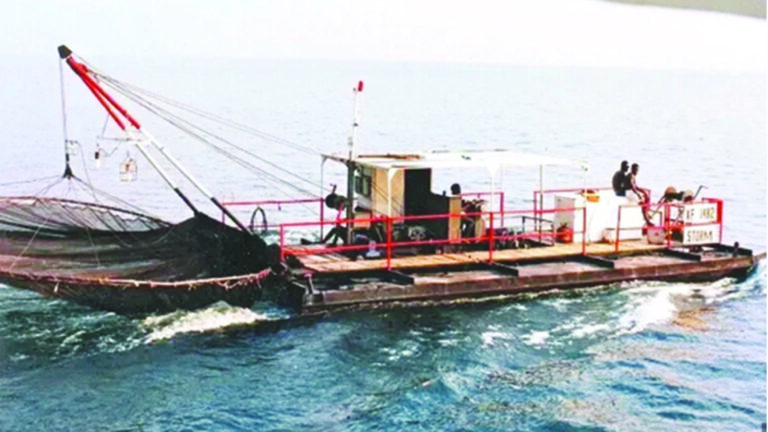 Kariba goes blue economy: Fish cage project unlocks new incomes - Bulls ...