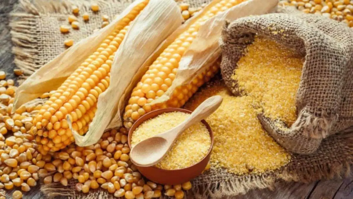 Zim records US$90m trade surplus in Nov 2025 - Bulls n Bears